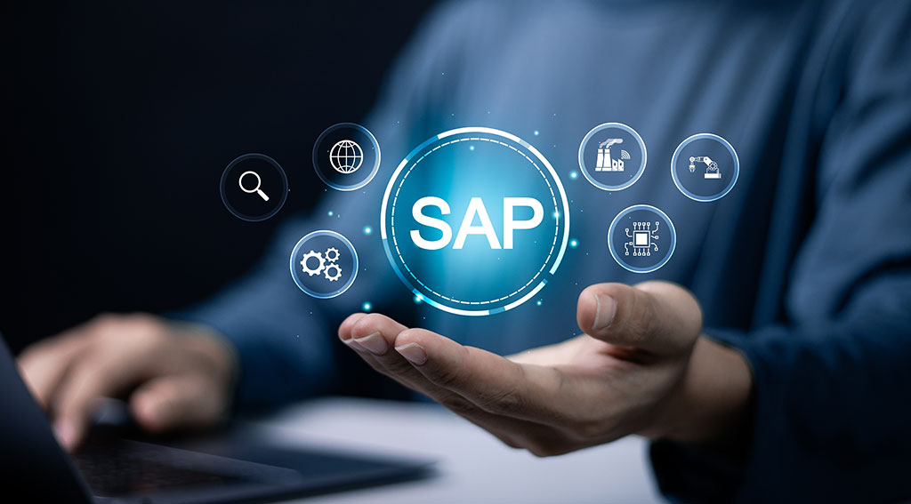 Risk Management in SAP Adaptation Projects - VBAP - SAP, ERP